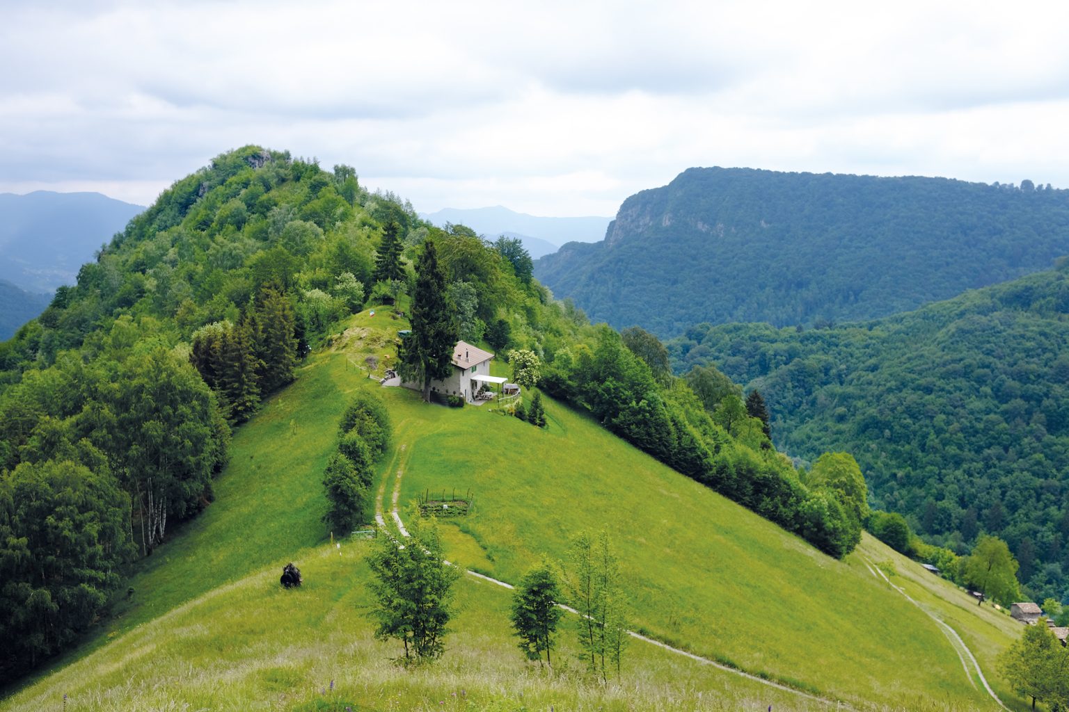 L'Alta Via delle Grazie raccontata dagli autori della guida Gabriella ...